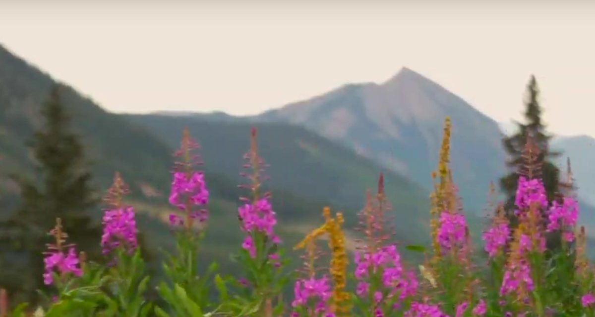 Summer Activities in Crested Butte | Mountain Bike, Hike, SUP and More!